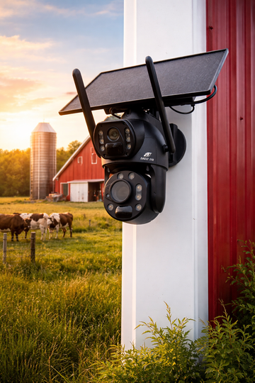 Eagle Eye Cameras